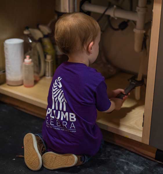 Plumb Zebra − Home